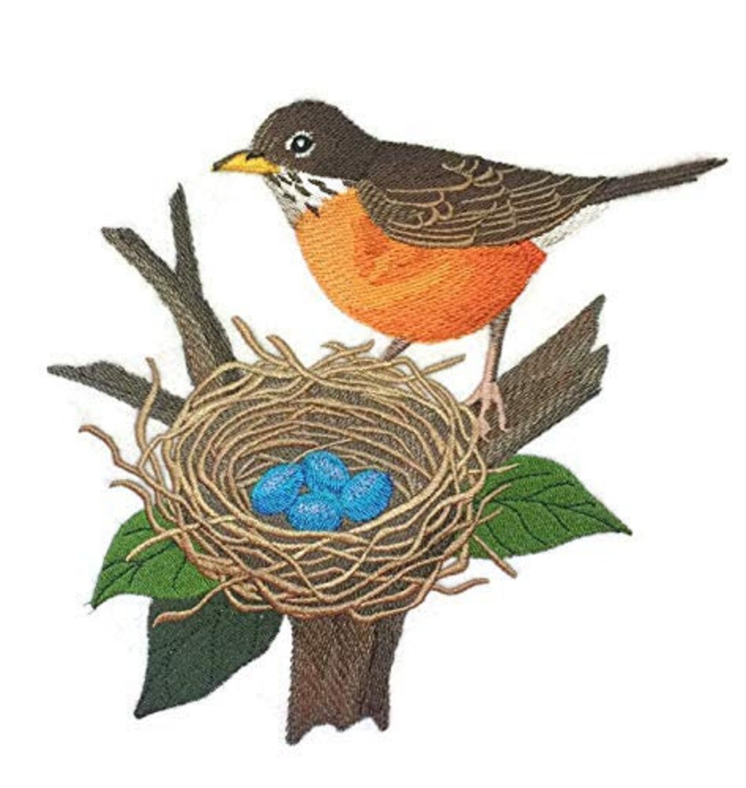 Nature Weaved in Threads, Birds Kingdom [robin and Nest [] Embroidered ...
