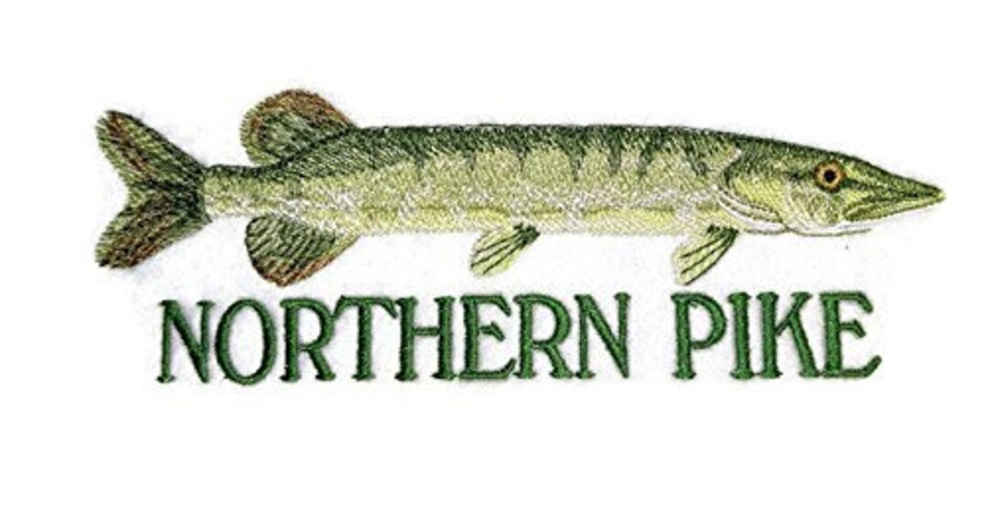 Northern Pike Fish With Name Embroidered Iron On/sew Patch [6.86" X2.61 ...