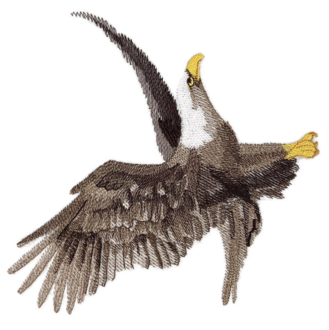 Beyond Vision Custom Bird Regal Soaring Eagle Embroidery Iron On/sew ...