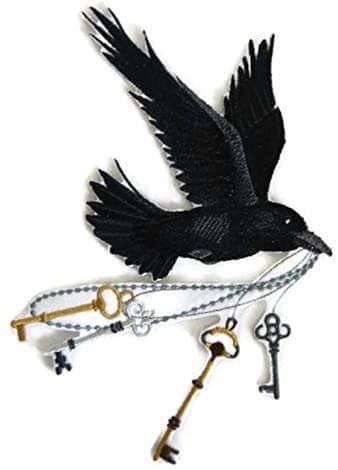 Flying Raven Skeleton Raven Sksleton Photograph By LuAnn Griffin