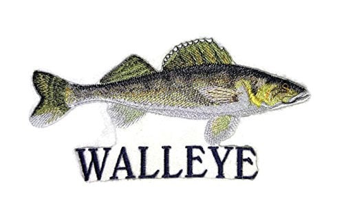 Walleye Fish With Name Embroidered Iron On/sew Patch 6.86 X3.7 - Etsy