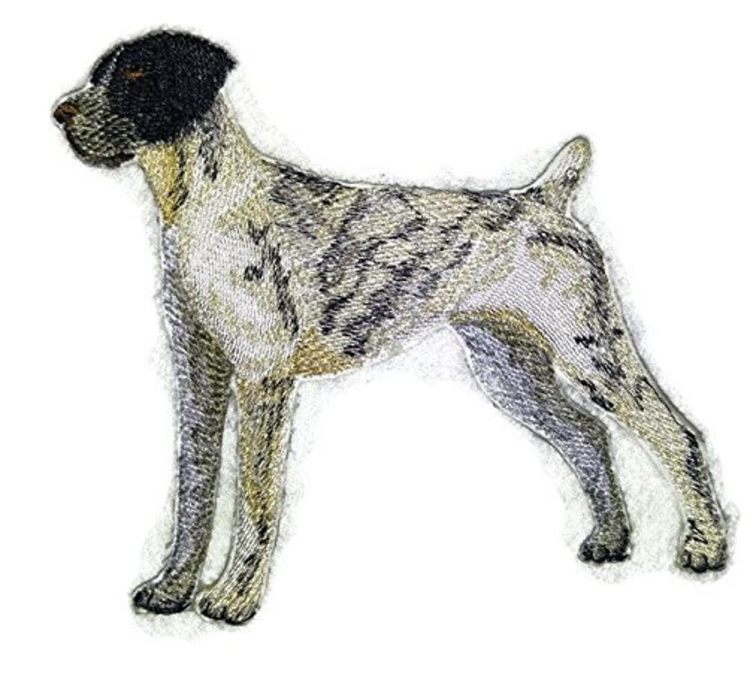 German Shorthaired Pointer Dog Embroidery Iron On/sew Patch [5.4" X 4.8 ...