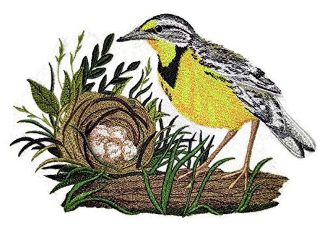 Eastern Meadowlark and Nest Embroidered Iron On/sew Patch [8" X 5.35 ...