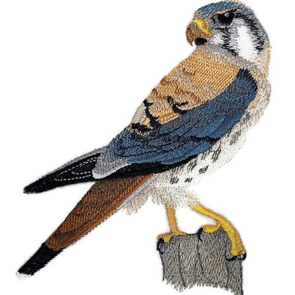 American Kestrel - Etsy