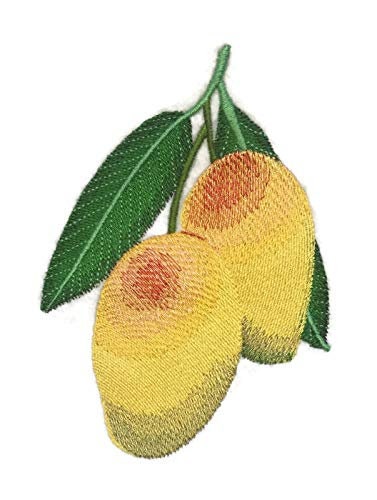 Fruits mangoes Embroidered Iron On/sew Patch 5.1x3.73 - Etsy