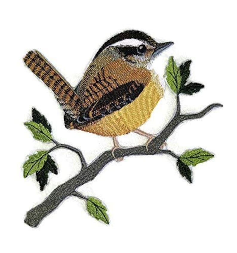 Single Carolina Wren Bird Embroidered Iron On/sew Patch [5.9