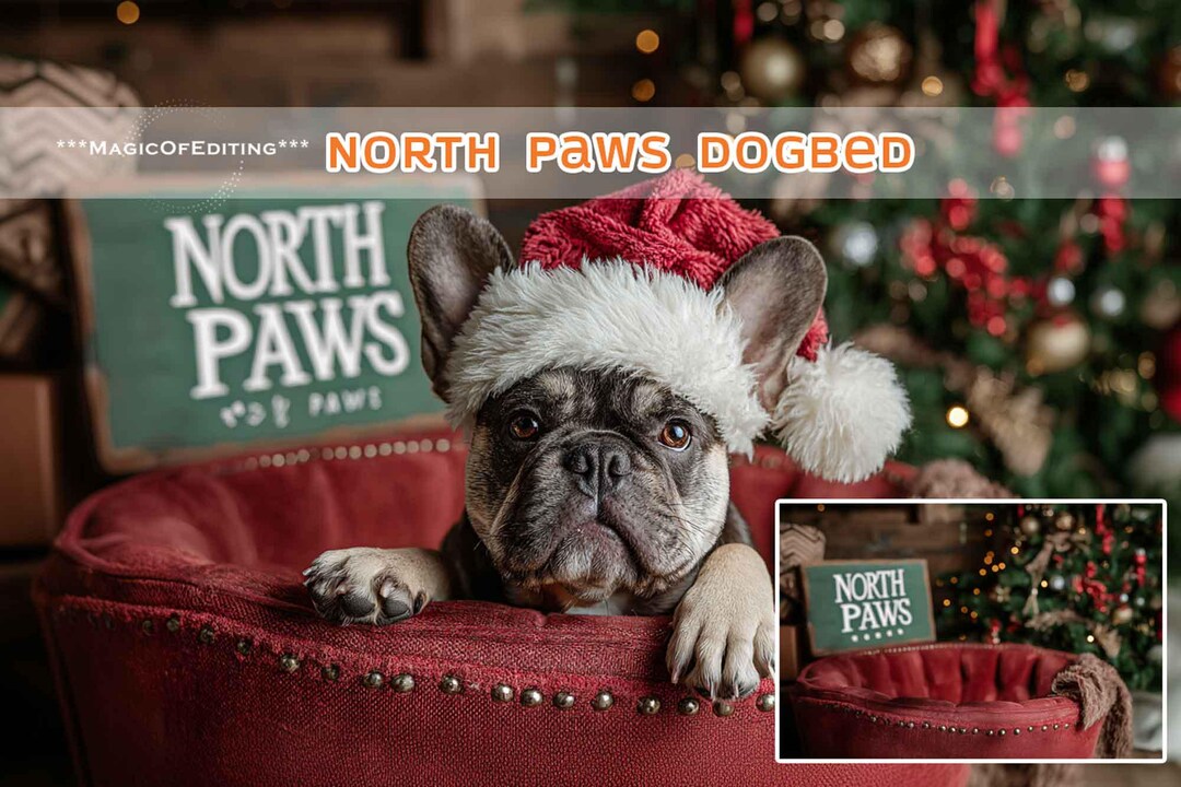 Christmas Dog Bed Digital Backdrop, Winter Pet Photography (PNG) - Etsy ...