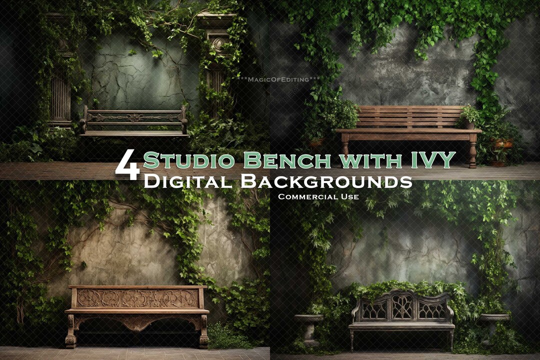 4 Studio Rustic Bench With Ivy Wall, Birthday Set Whimsical Background ...