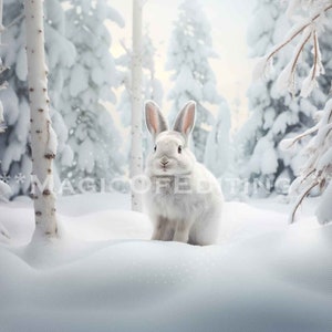 4 White Winter Animals, Digital Backdrop, Snow, Christmas, North Pole ...