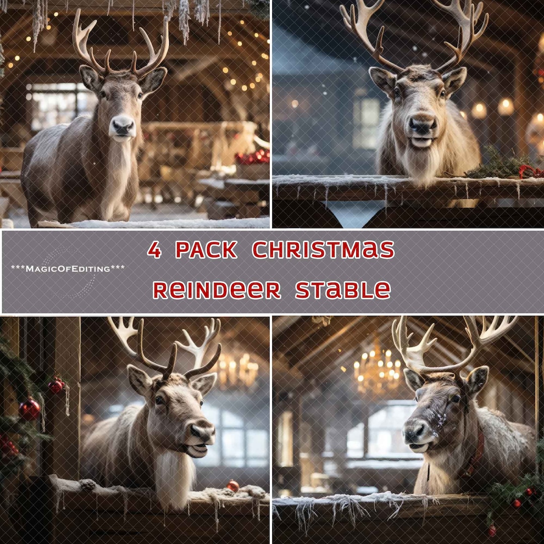 Reindeer Stable, Barn, Rustic, North Pole, Santa Village, Digital ...