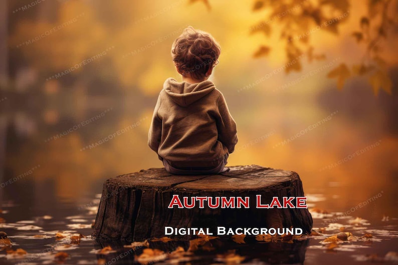 Autumn Lake Stump Photography Backdrop: Fall Forest Digital Background ...
