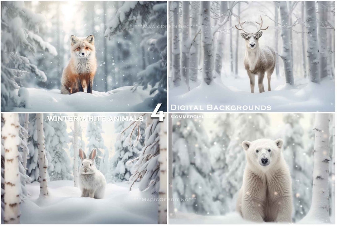 4 White Winter Animals, Digital Backdrop, Snow, Christmas, North Pole ...