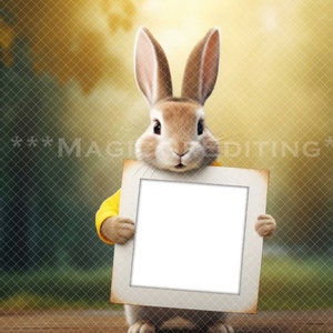 Bunny Rabbit Frame PNG Digital Backdrop, Back 2 School Photography ...