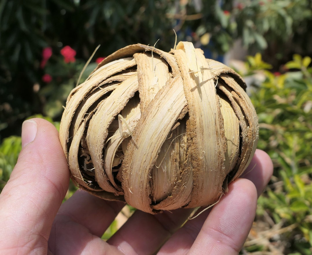 Ball of KATRAFAY BARK Bark for Herbal Tea Decoction or - Etsy