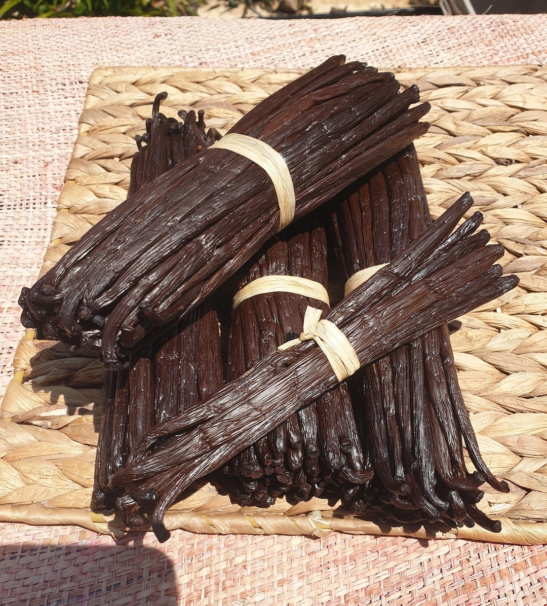 VANILLA Pods From MADAGASCAR Gourmet Quality 20cm Large, Fragrant ...