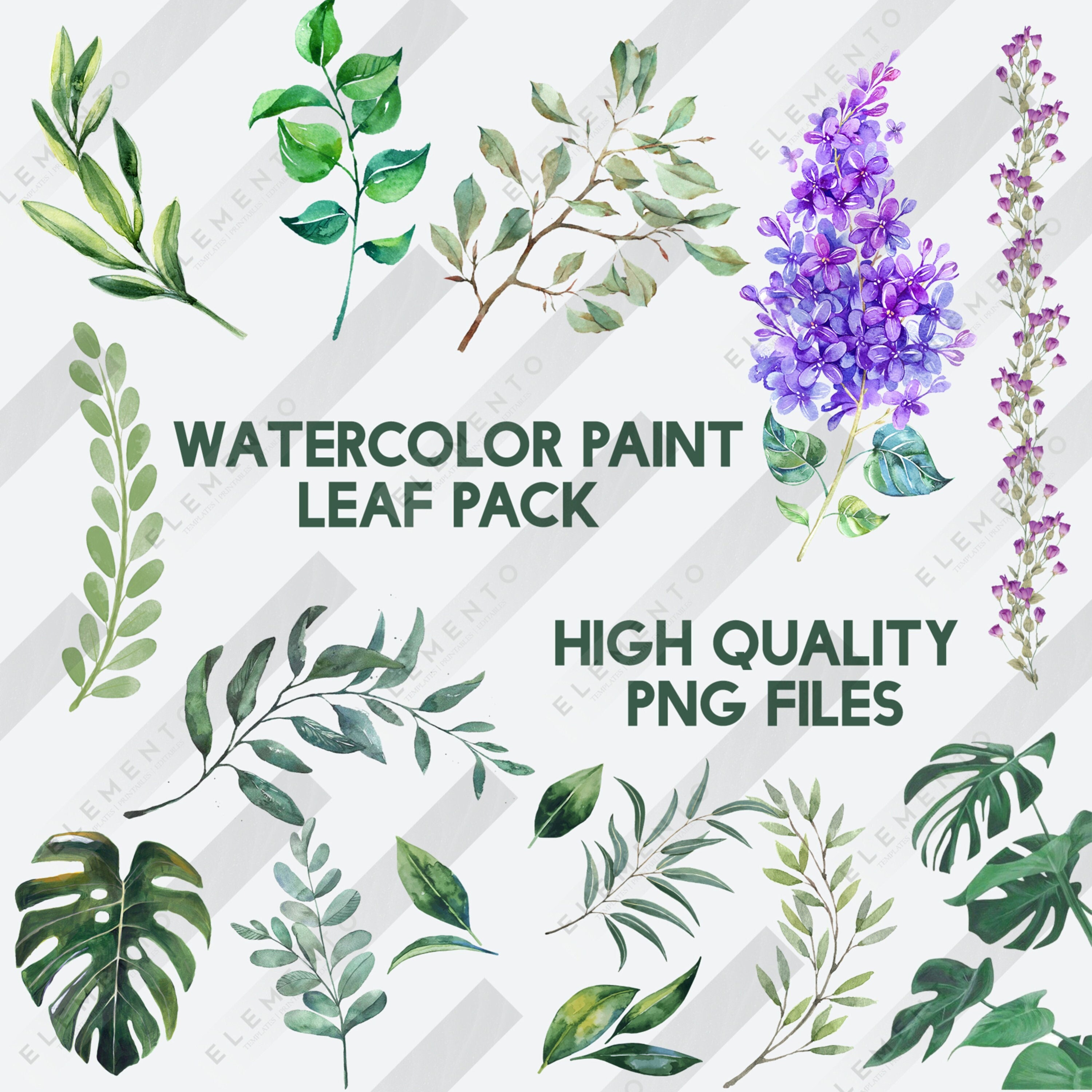 Watercolor Paint Leaf PNG Pack, Aquarelle PNG Leaves, Greenery PNG ...