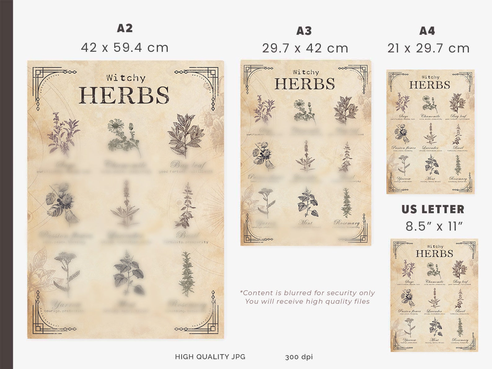 Witch Magical Herbs Poster | Witch's Apothecary | Vintage Botanical ...