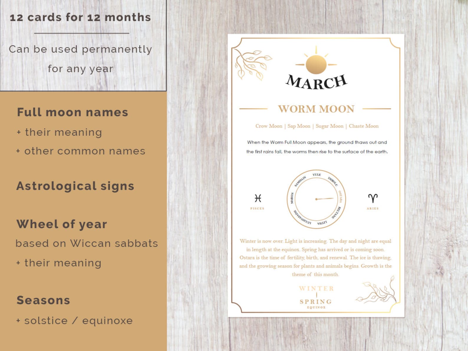 Full Moon Cards 12 Months Printable Cards Wiccan Wheel of | Etsy