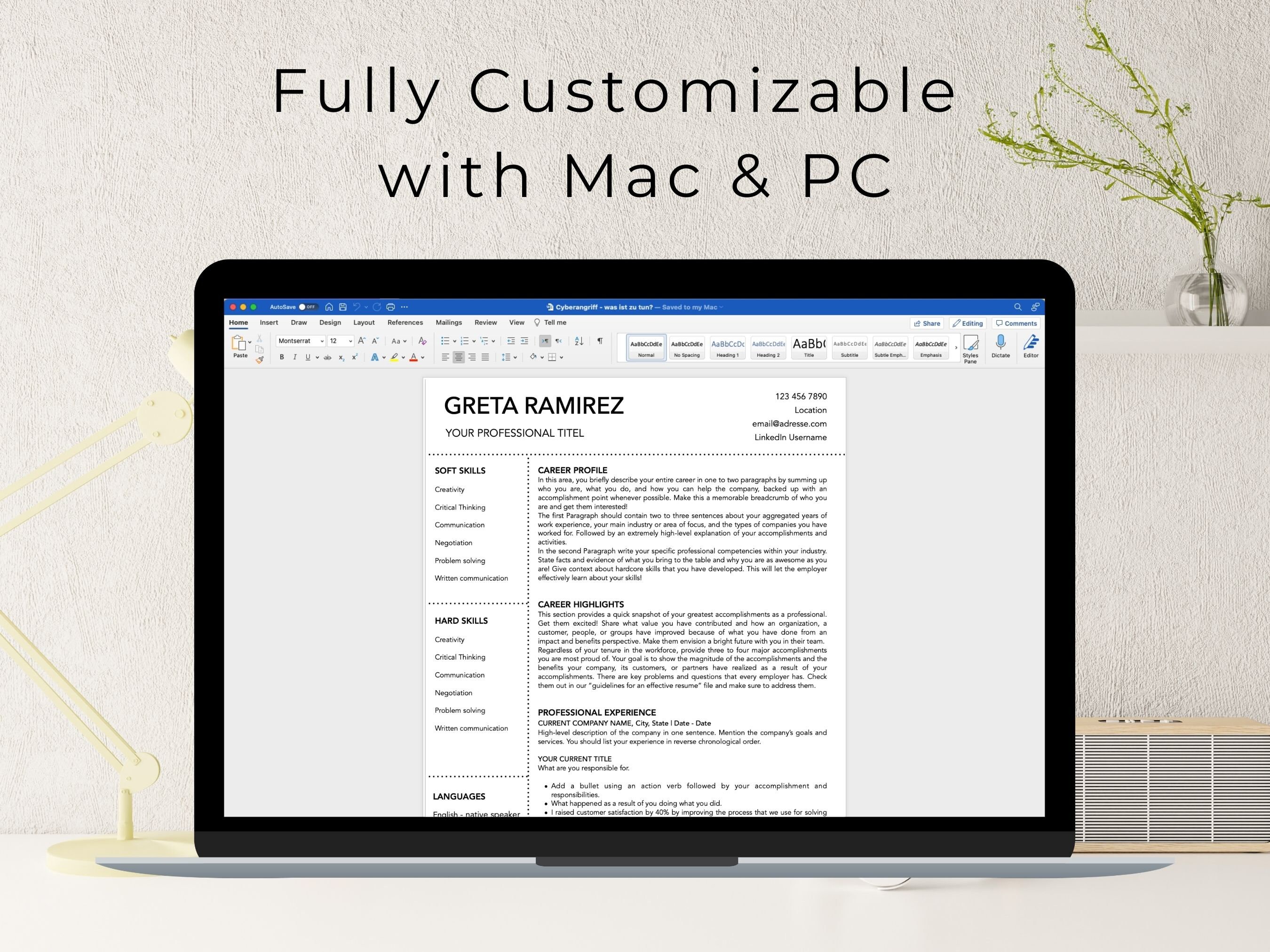 CV Template, CV Template Professional, CV Template Word, Mac Pages ...
