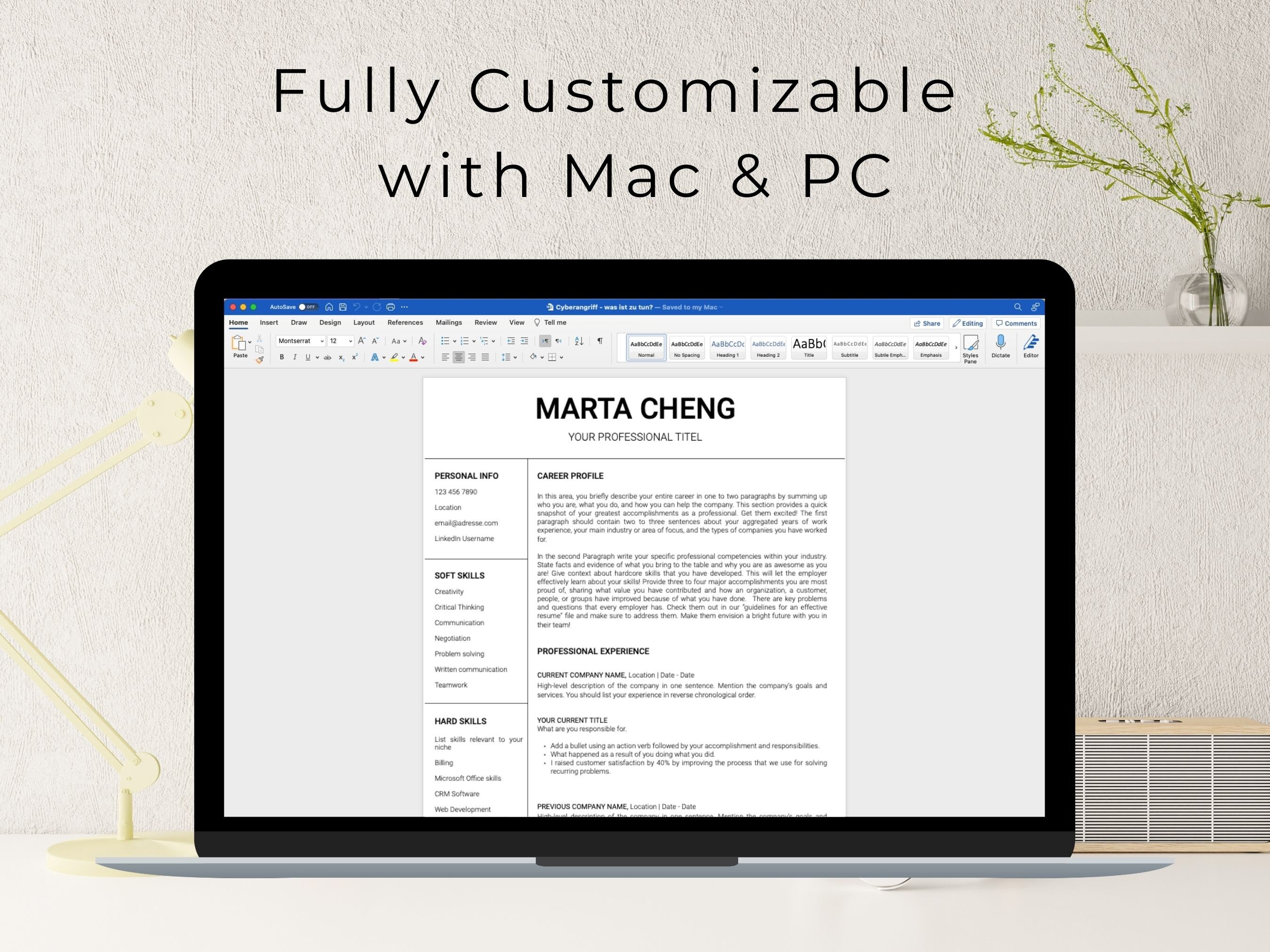 CV Template, CV Template Professional, CV Template Word, Mac Pages ...
