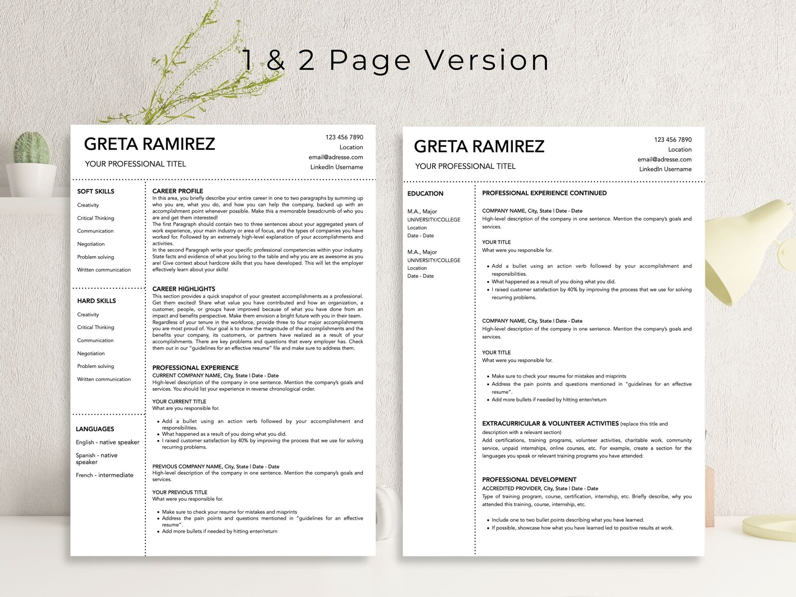 CV Template, CV Template Professional, CV Template Word, Mac Pages ...