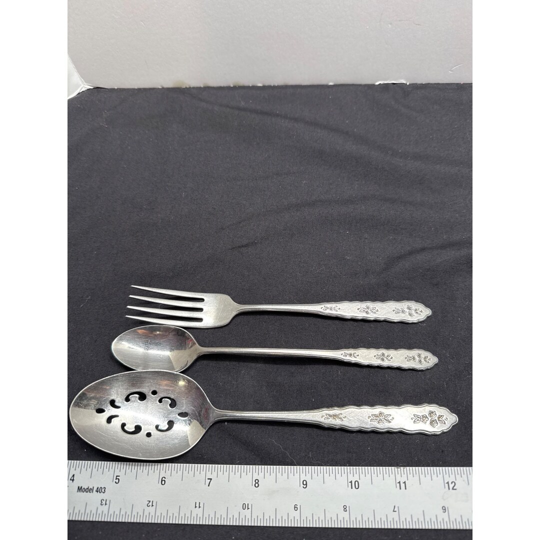 Oneida Distinction Deluxe Stainless Flatware Slotted Spoon, Tea Spoon ...