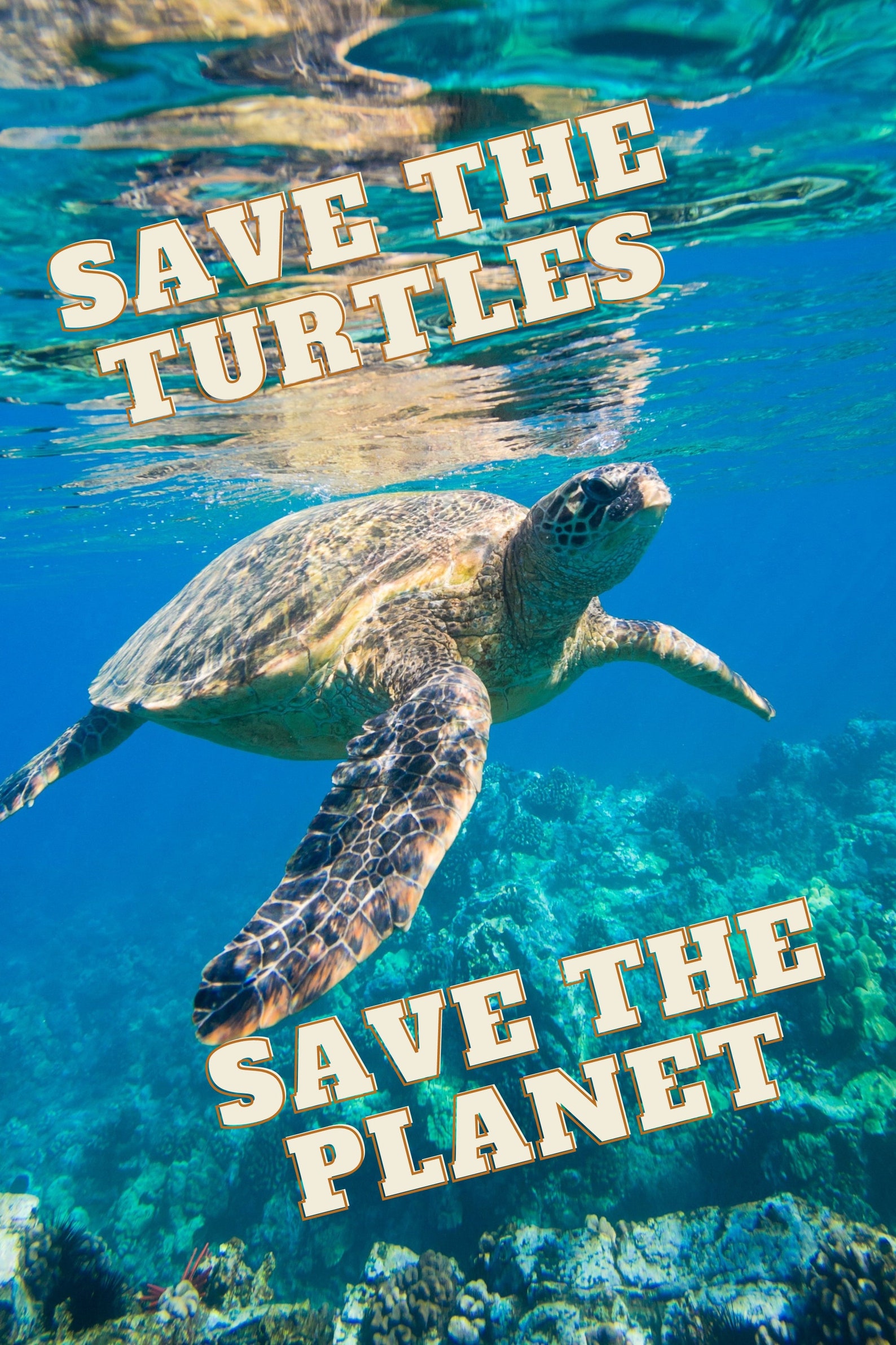 Save the Turtles Save the Planet Printable - Etsy