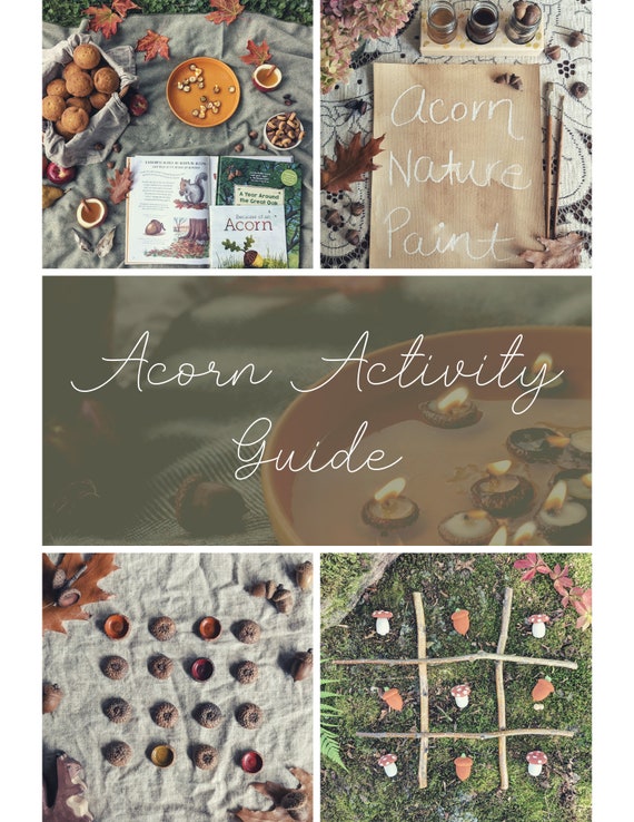 Acorn Activity Guide Printable PDF Instant Download | Etsy