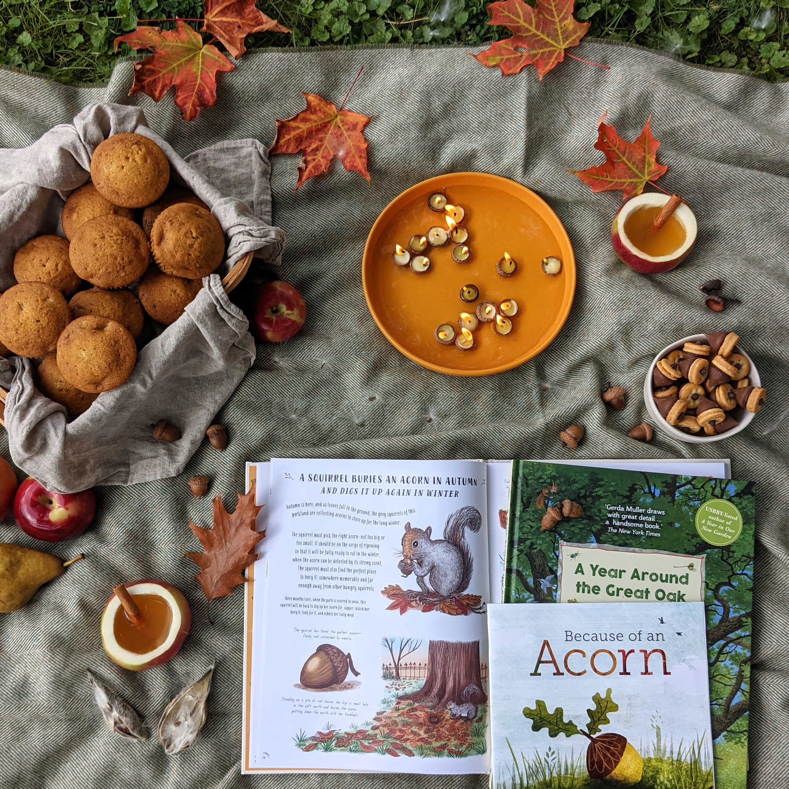 Acorn Activity Guide | Printable PDF | Instant Download | Nature Crafts ...