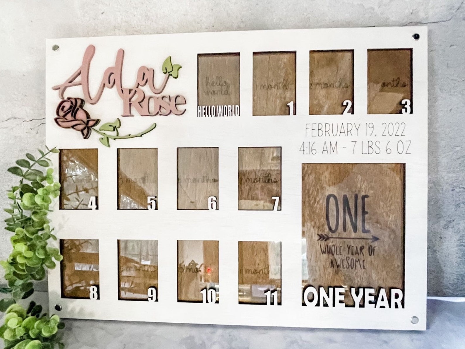 LARGE Baby Birth Through One Year Monthly Photo Picture Frame - Etsy