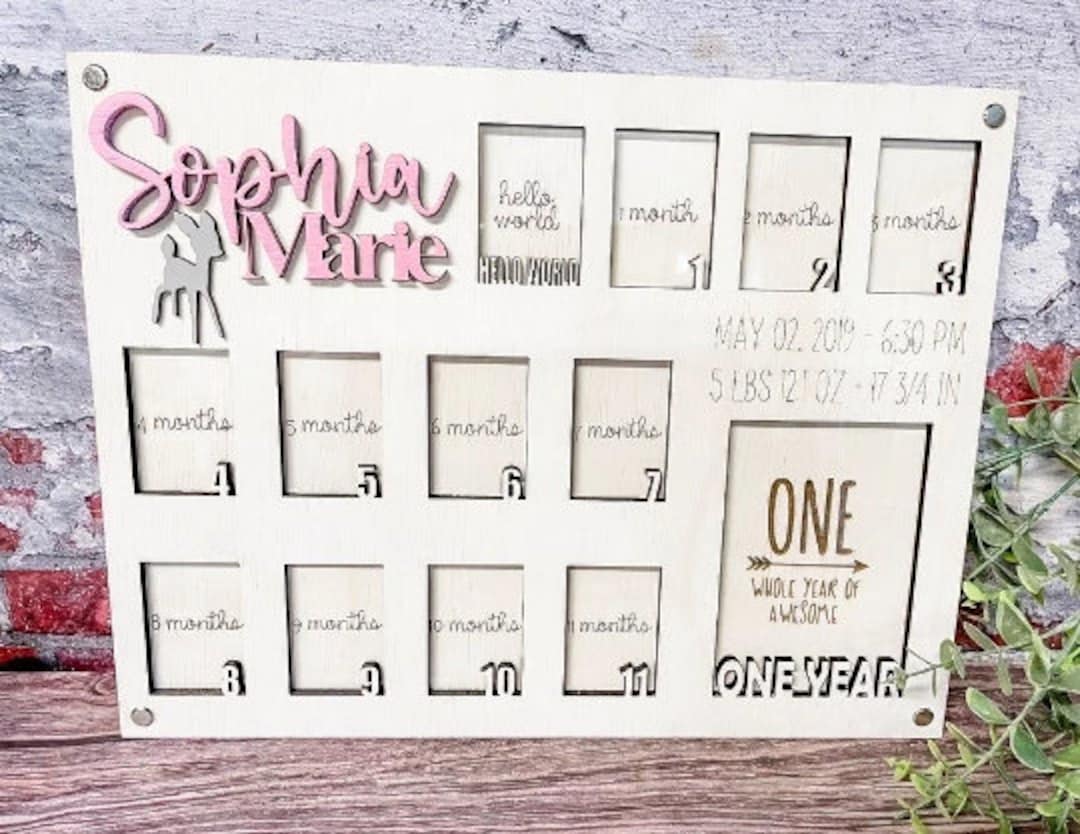 LARGE Baby Birth Through One Year Monthly Photo Picture Frame - Etsy