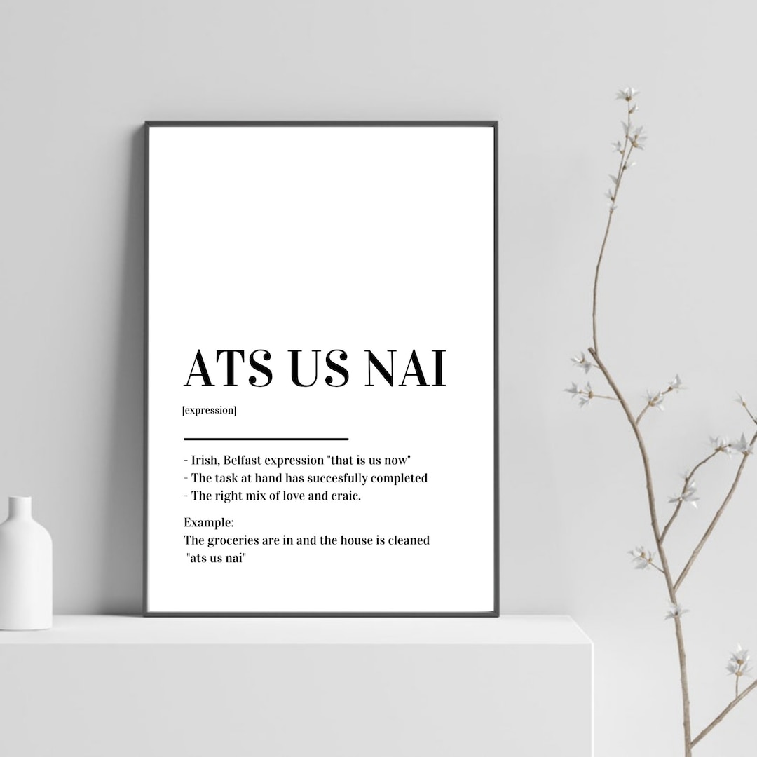 Ats Us Nai Definition Expression Print Poster - Etsy