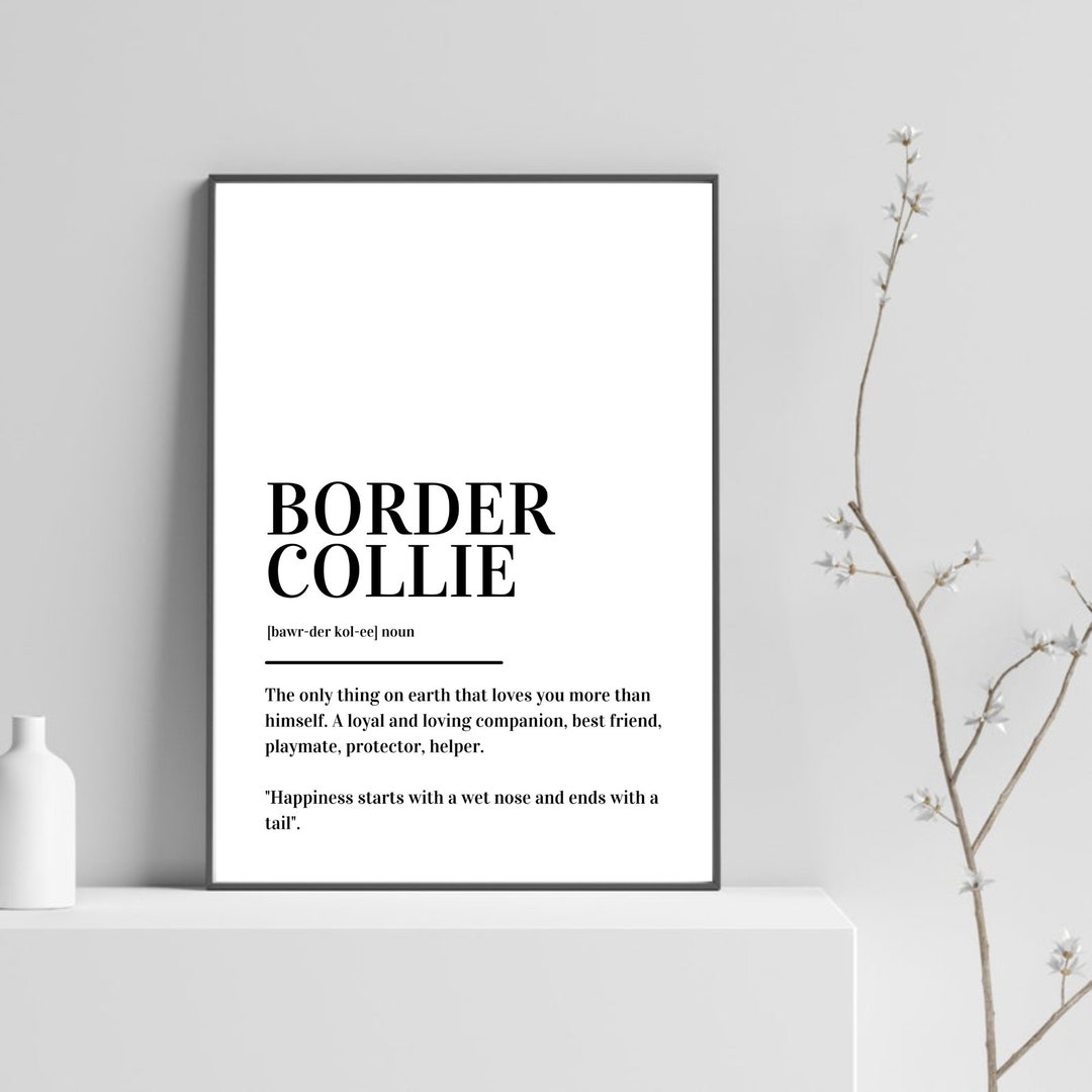 Border Collie Definition Print Poster - Etsy