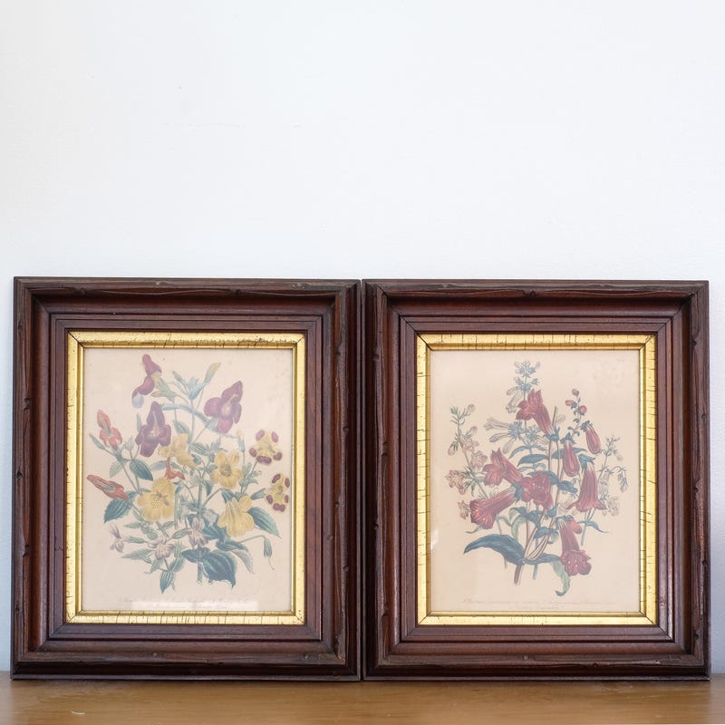 Antique Floral Lithograph - Etsy