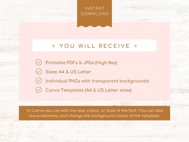 Female External Genitalia | PDF + JPG | PNG & Canva Templates | Female ...