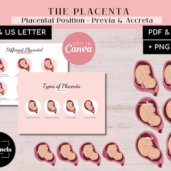 Placenta - Etsy