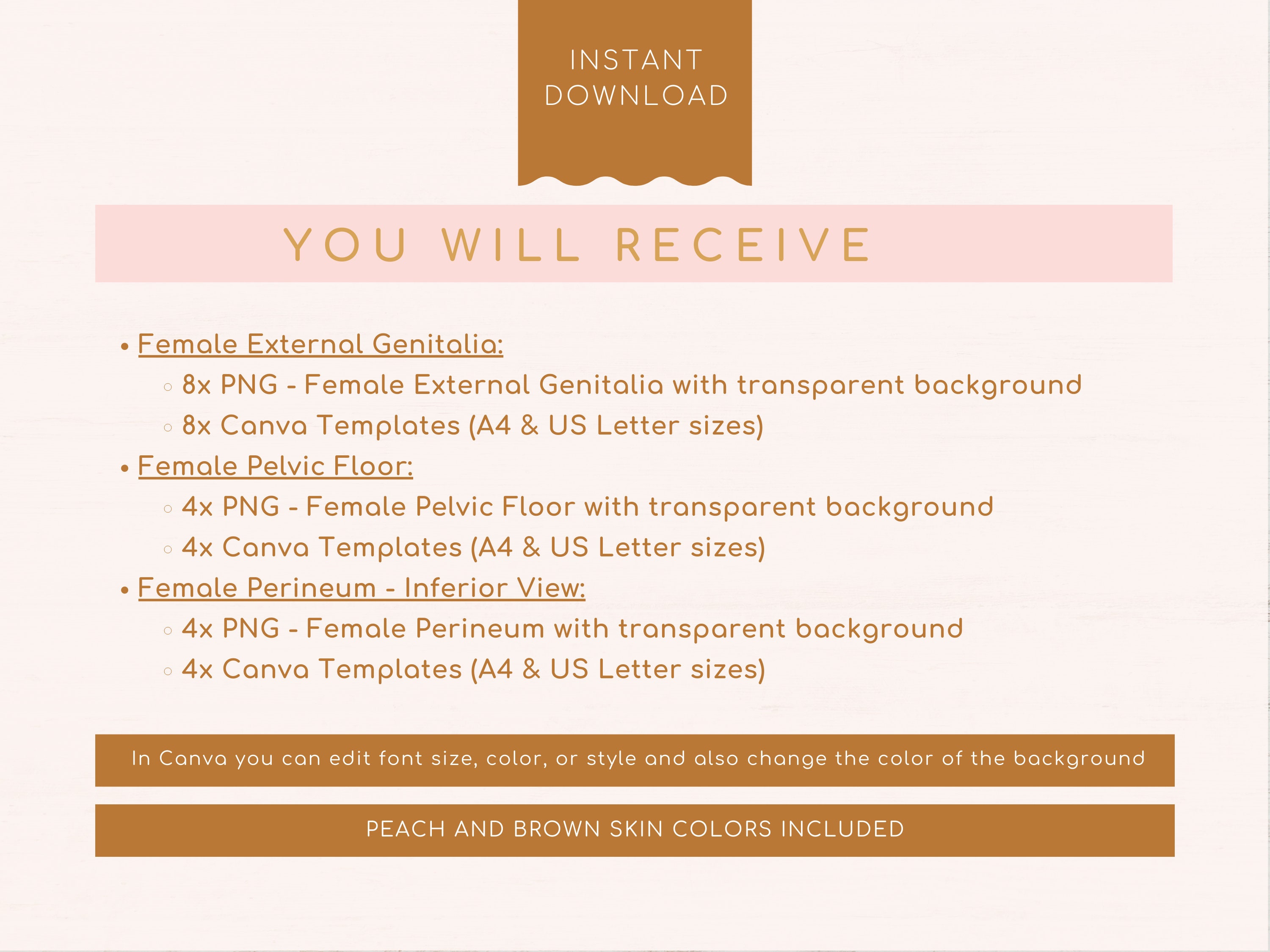 Female Pelvic Floor Pack Physiotherapy PNG & Canva Templates Editable ...