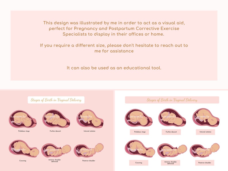 Mechanism of Labour Stages of Birth PNG Images & Canva PDF JPG Female ...