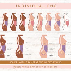 Diaphragmatic Breathing and Pelvic Floor | PDF + JPG | PNG & Canva ...