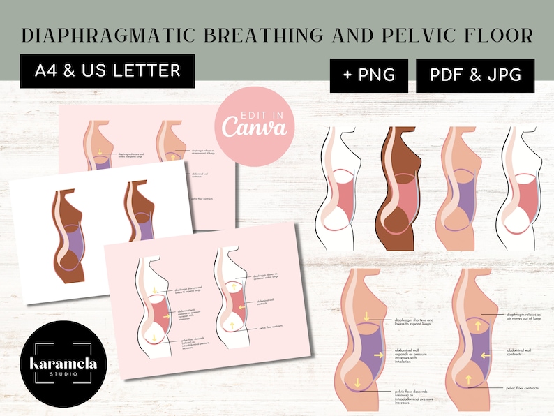 Diaphragmatic Breathing and Pelvic Floor | PDF + JPG | PNG & Canva ...