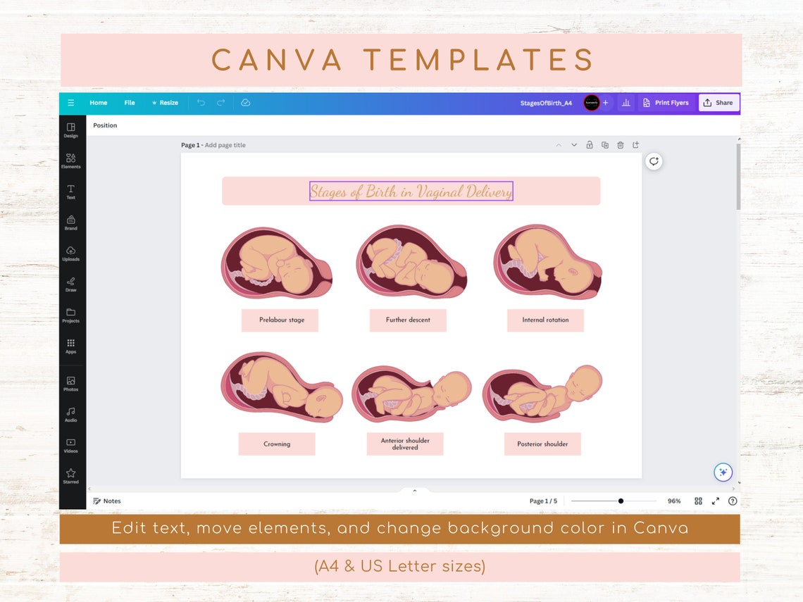 Mechanism of Labour | Stages of Birth | PNG Images & Canva | PDF + JPG ...