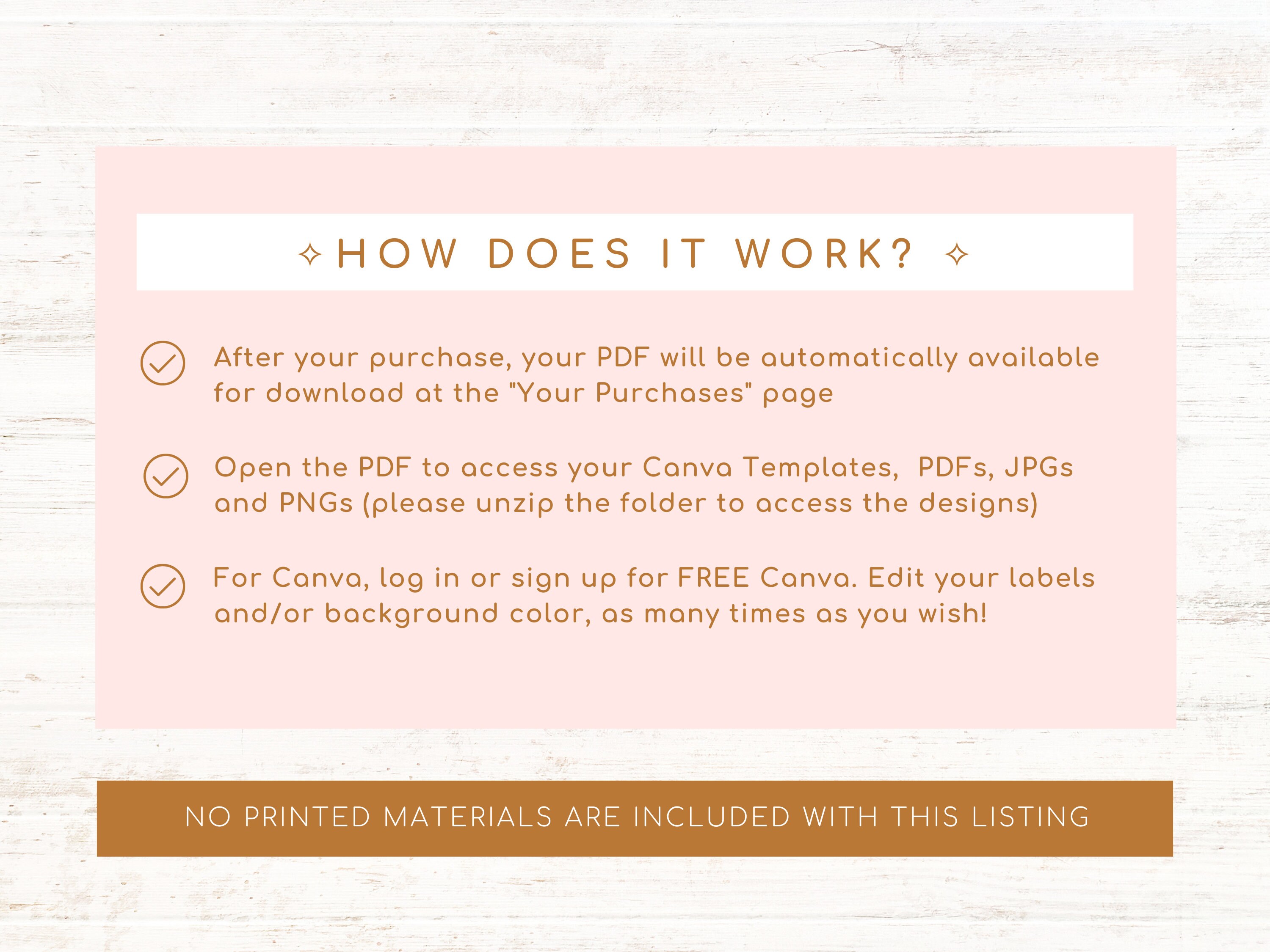 Female External Genitalia | PDF + JPG | PNG & Canva Templates | Female ...