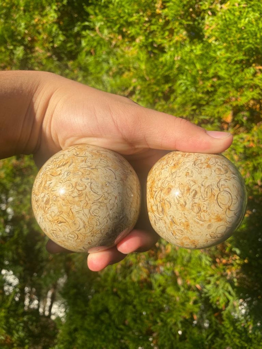 Fossil Dinosaur Sphere - Embark on a Journey of Crystal Sphere ...