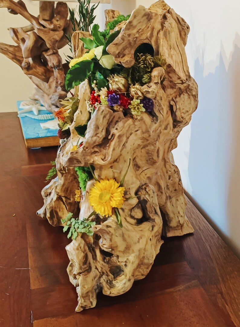 Large Elderwood Root Decor Preserved Flowers Unique Office - Etsy