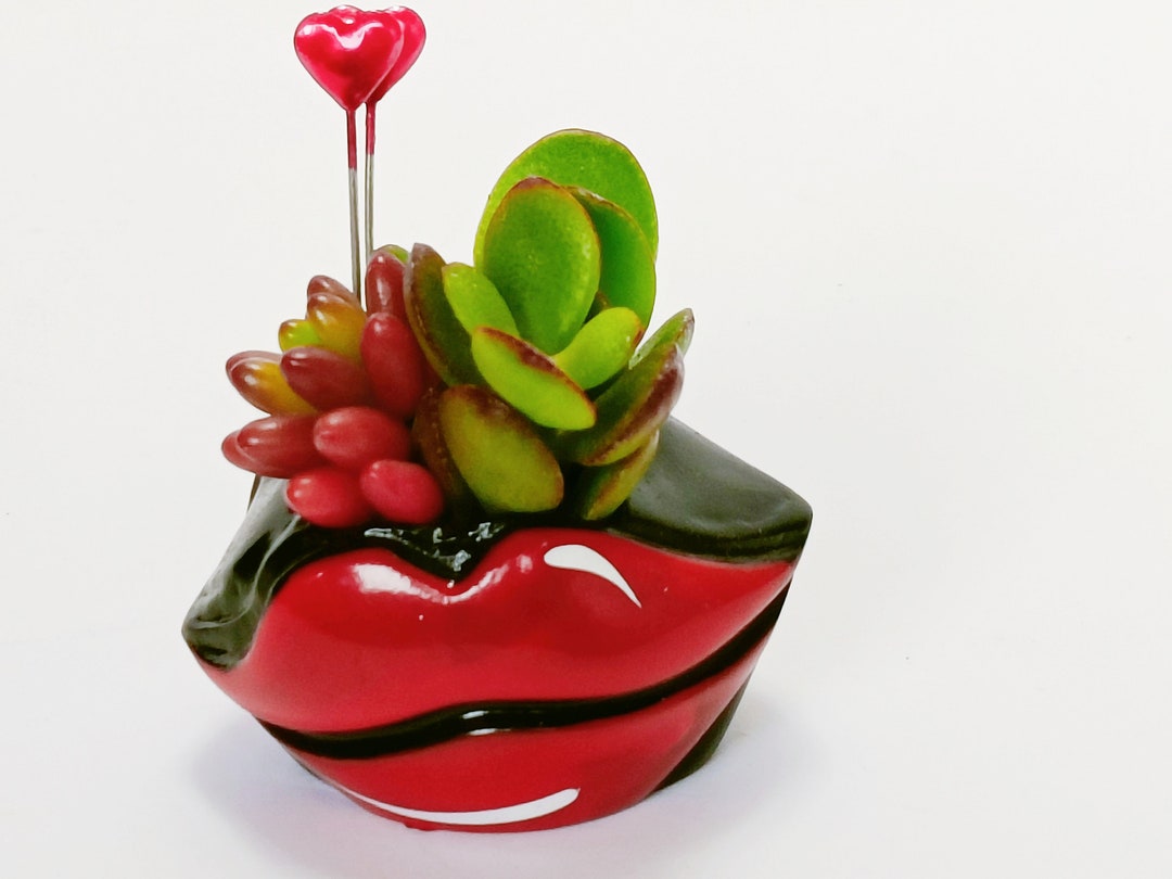 Porcelain Red Lips Succulent Planter Valentine's Day - Etsy