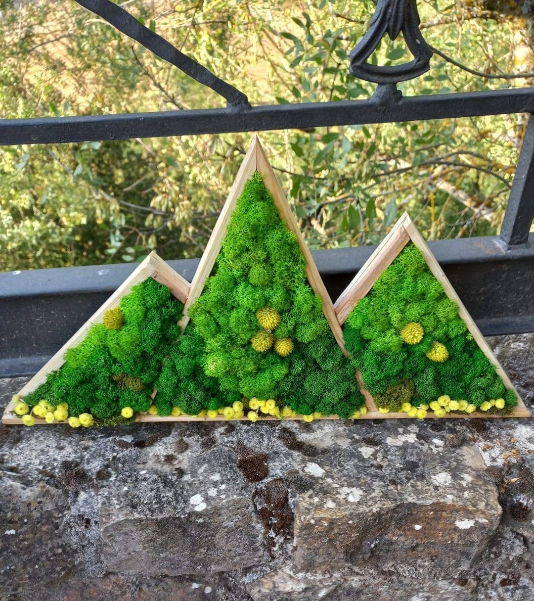 Moss Wall Art Living, Nature Lover Gift, Preserved Moss Centerpiece ...