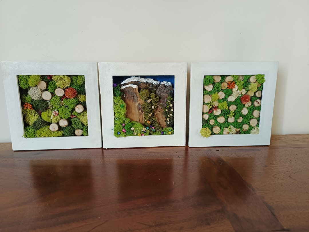 Square Moss Art for Wall, Living Moss Wall Decor, Small Size, Nature ...