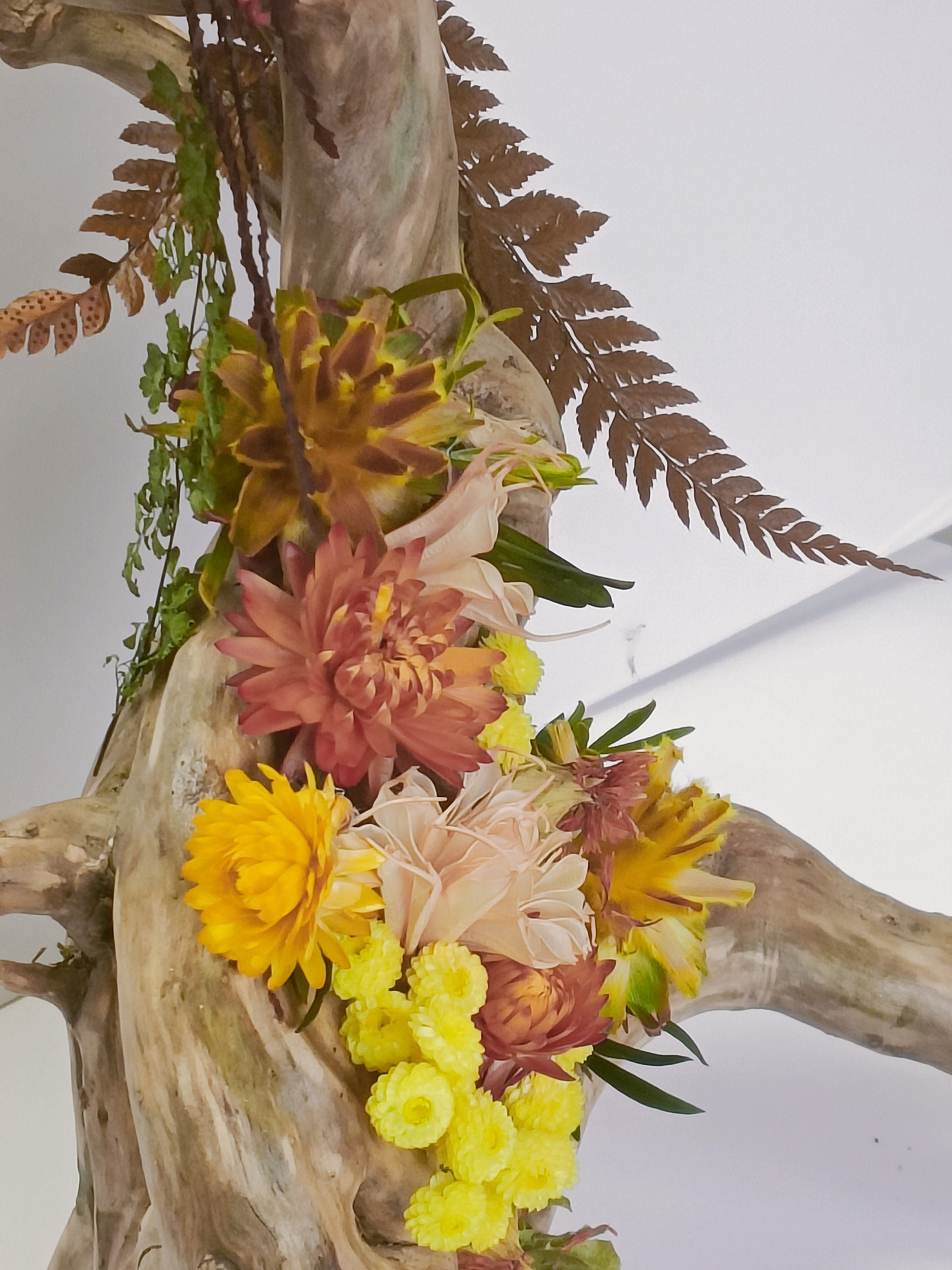 Flower Decorated Wood Carving Funny Plant Holder Nature - Etsy