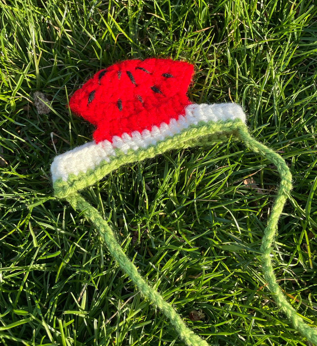 Cat Watermelon Hat - Available for All Pets - Dog / Cat / Pet Hat - Etsy