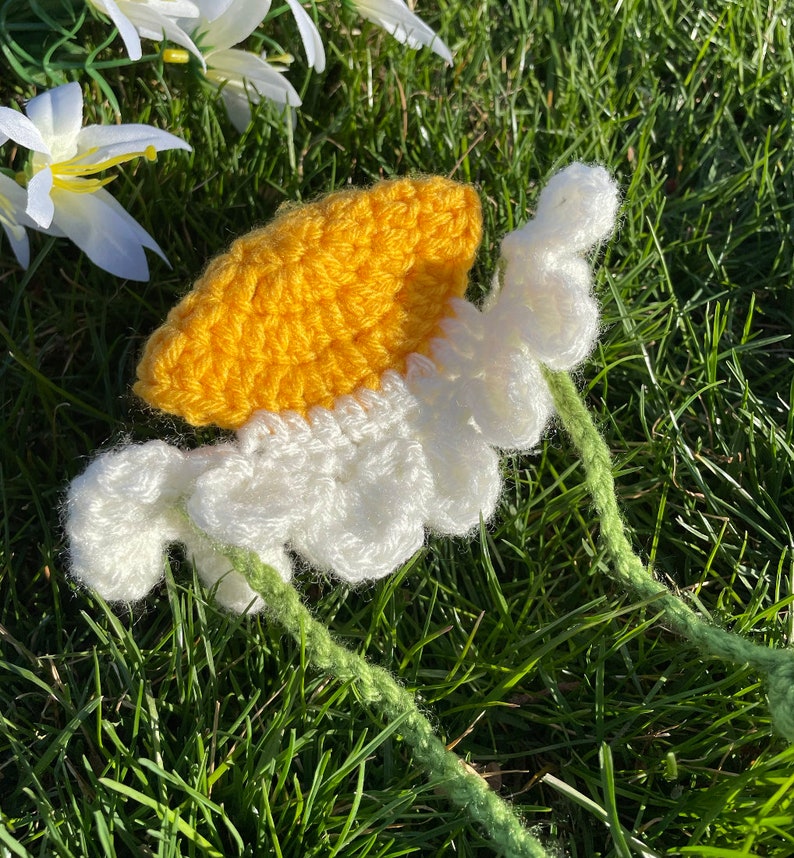 Cat Daisy Hat Available for All Pets Dog / Cat / Pet Hat - Etsy